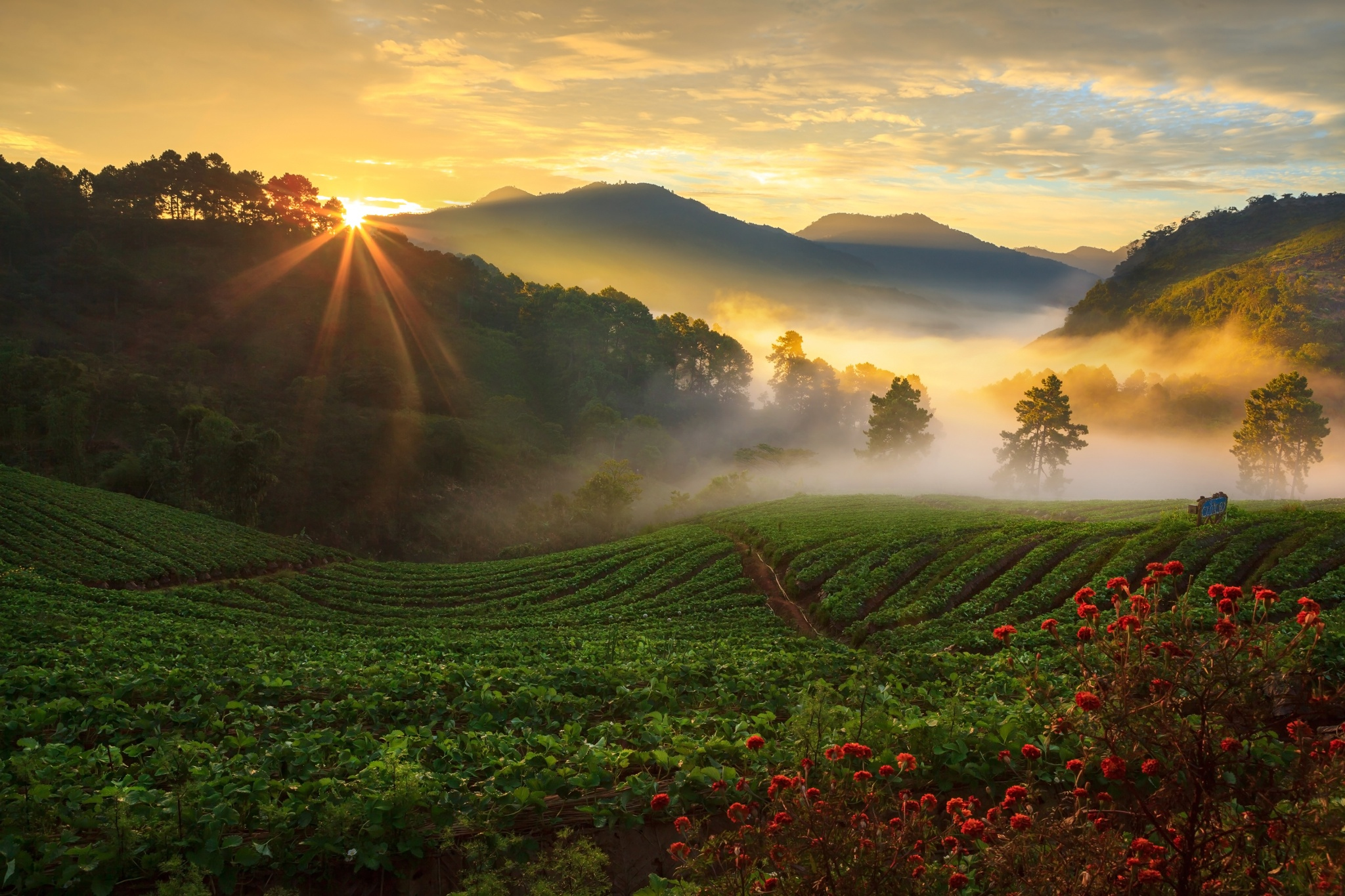 There's so much to love on rainy days – Escape to Chiang Mai | REm Magazine