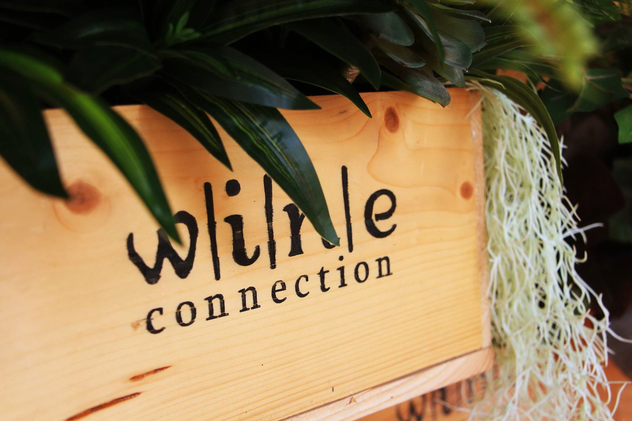 Wine I love you... grand opening of Wine Connection Pattaya | REm Magazine
