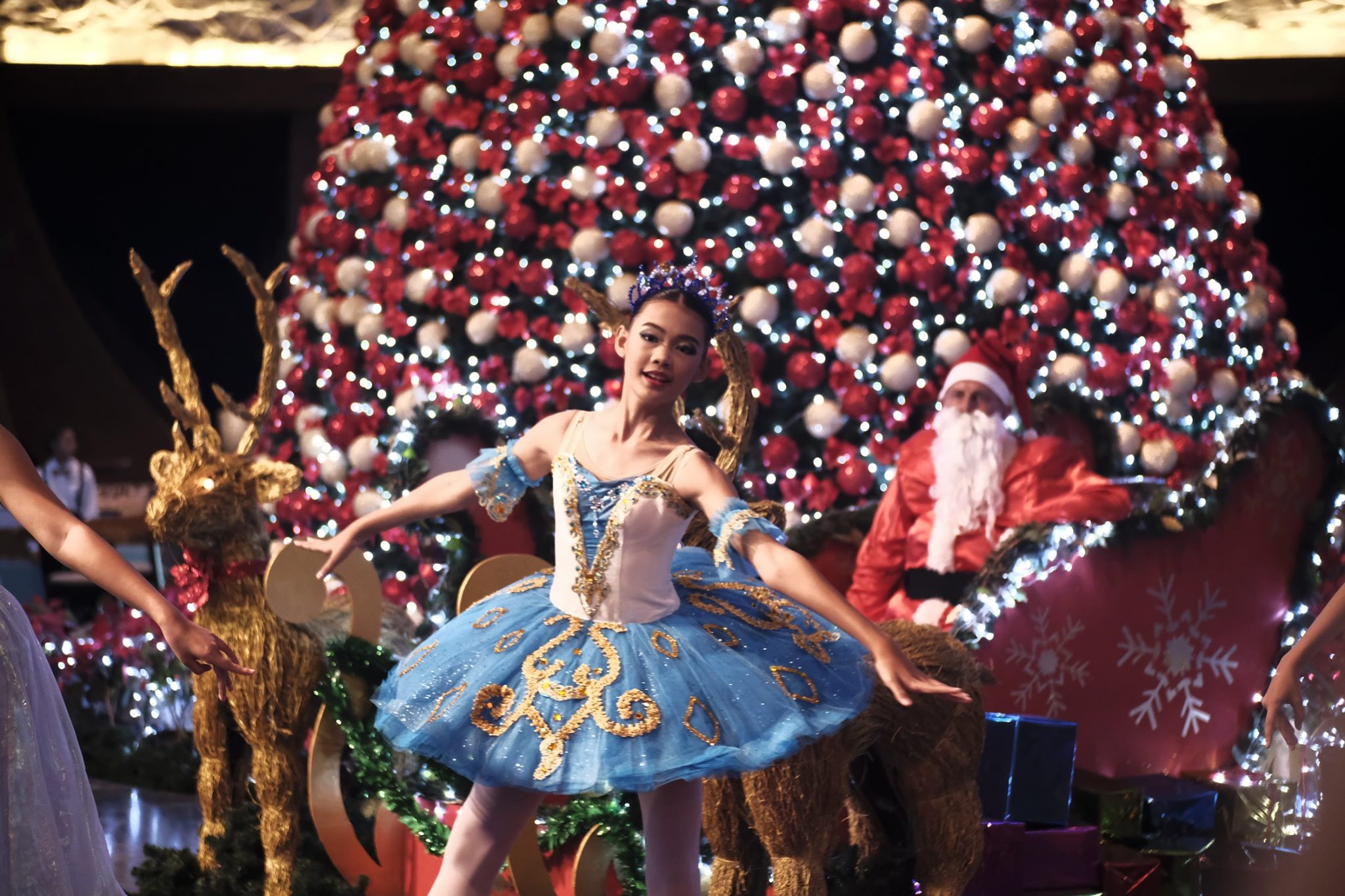 The 10th anniversary of Christmas tree lighting for annual charity at ...