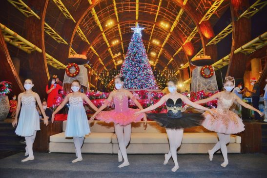 Welcome festival of happiness 12th Annual Christmas Tree Lighting ...