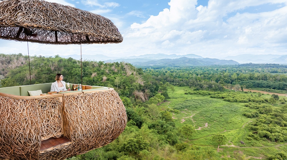 Elevated Gastronomy: Canopy, A Tree Top Dining Experience, Arrives at ...