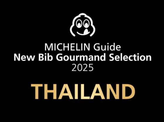 Michelin Bib Logo